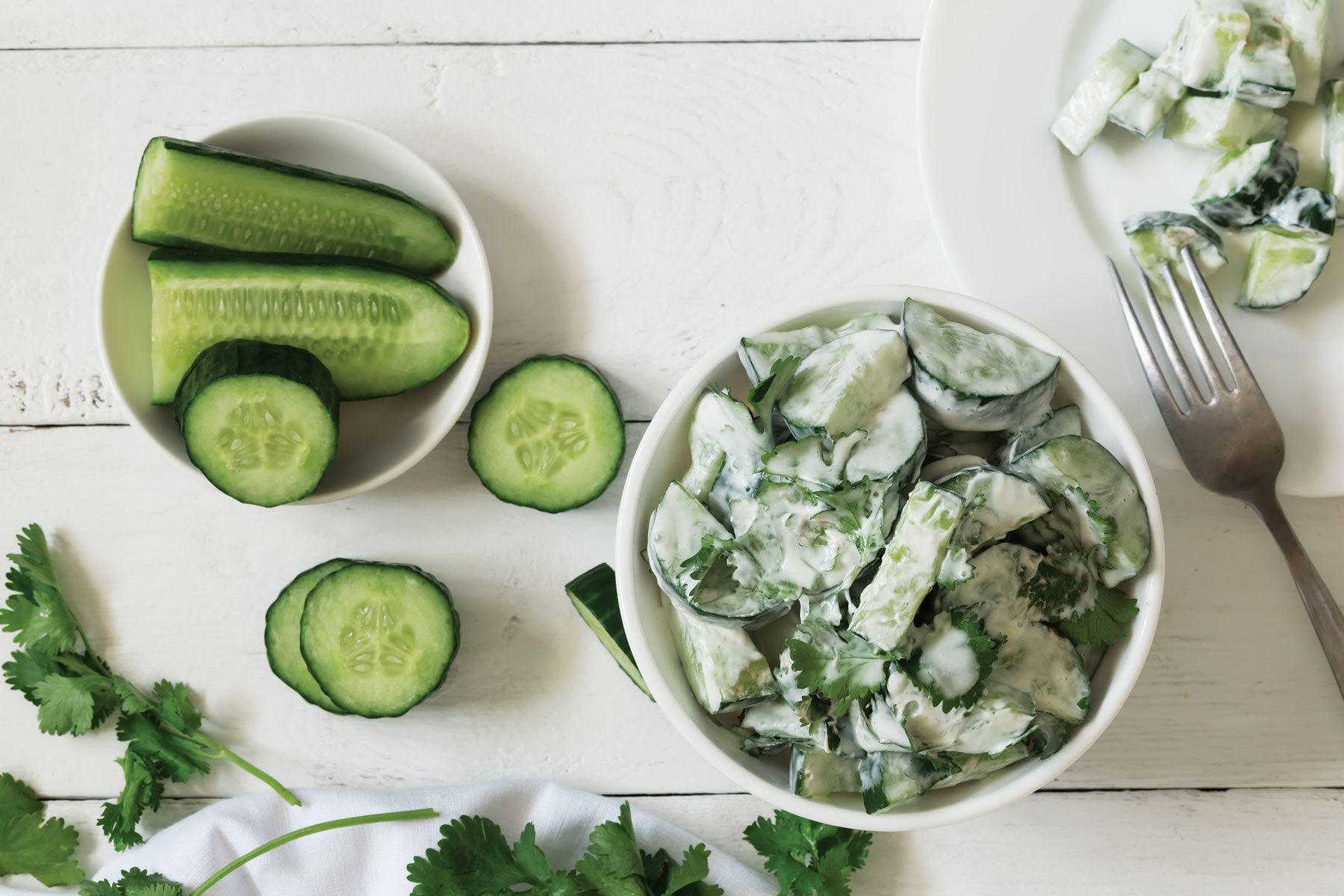 Creamy Kefir Cucumber Salad Recipe – Mother Earth News